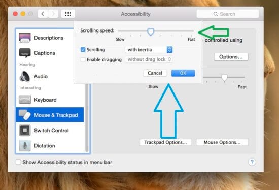 How to Change Scrolling Speed of Mouse or Trackpad on Mac