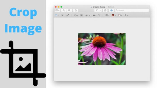 How to Crop Image in Preview on Mac Tahoe