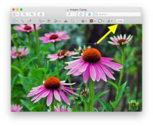 How to Crop Image in Preview on Mac Tahoe