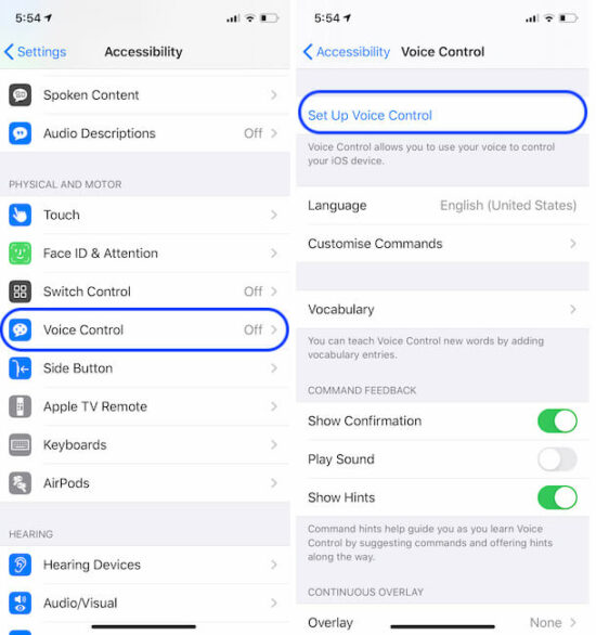 How to Turn On/Turn off Voice Control on iPhone, and Mac