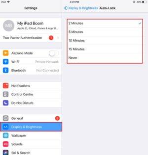 how to Stop iPad screen auto-dimming (Easy Tips)