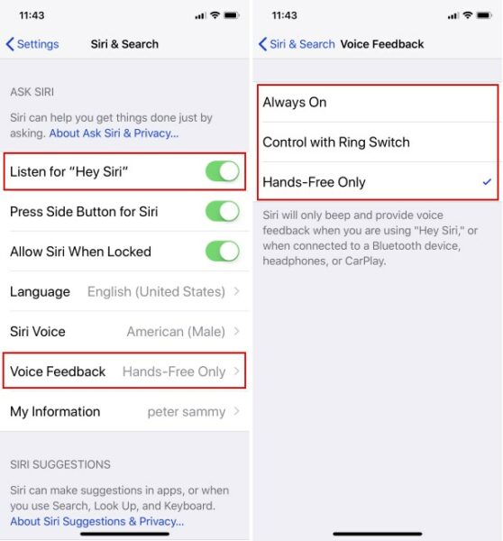 17 Fix Hey Siri Not Working on iPhone 16 Pro Max (Video Guide)