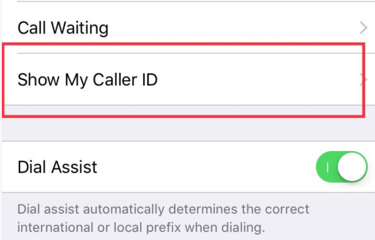 How to Hide Caller ID on iPhone 14 (iOS 17)