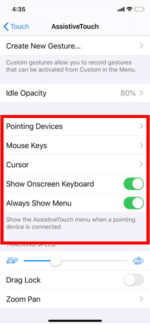 How to Use a Mouse on iPad