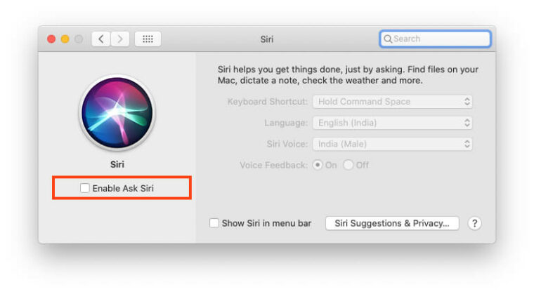 How To Delete Your Siri History & Data on iPhone and Mac (2023)