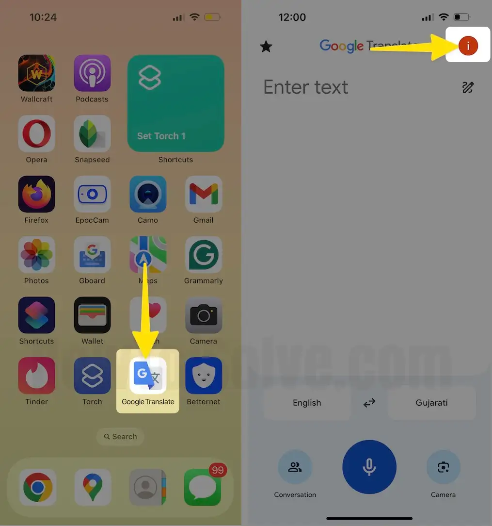 How to Use Google Translate Offline on iPhone in 2024