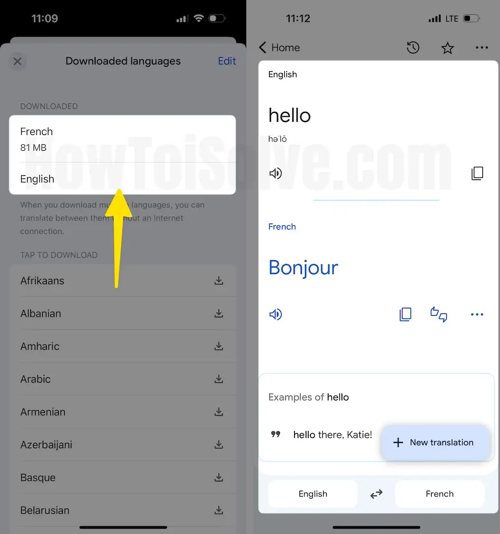 How to Use Google Translate Offline on iPhone in 2024
