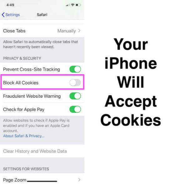 How to Enable Cookies on Safari on iPhone, iPad (iOS 17)