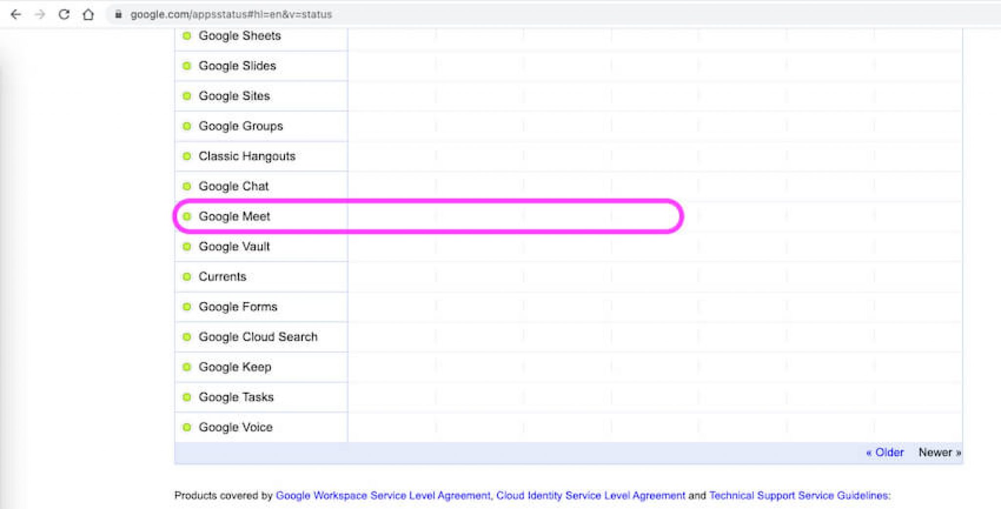 14 Fixes Google Meet Camera Not Working on Mac, MacBook