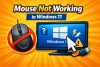 Mouse Not Working in Windows 11 (Complete Troubleshooting Guide)